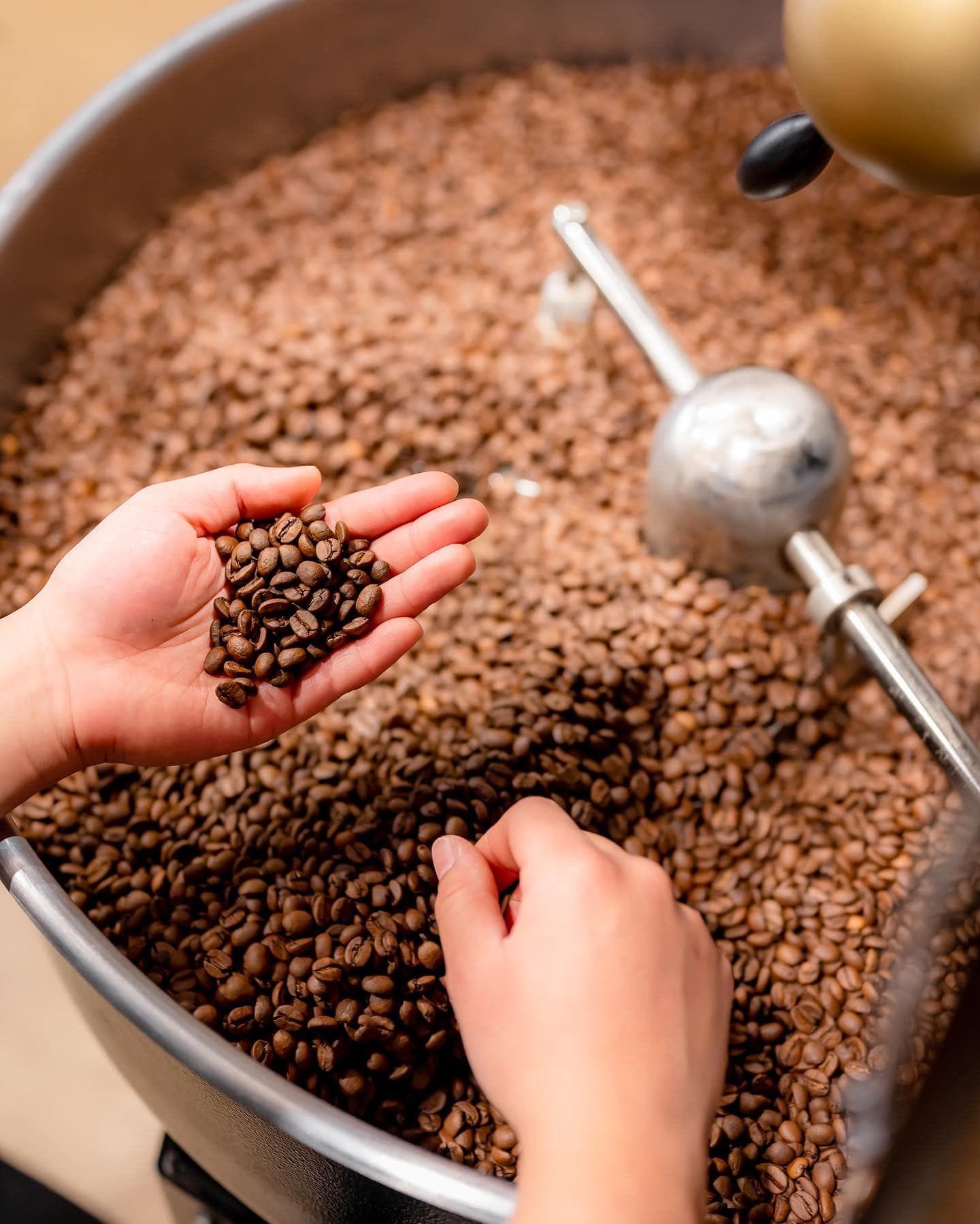Coffee Roasting: Science, Art, and Innovation in the Pursuit of Perfect ...